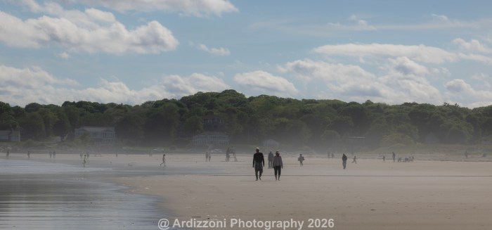 Sun and fog at Good Harbor – Good Morning Gloucester