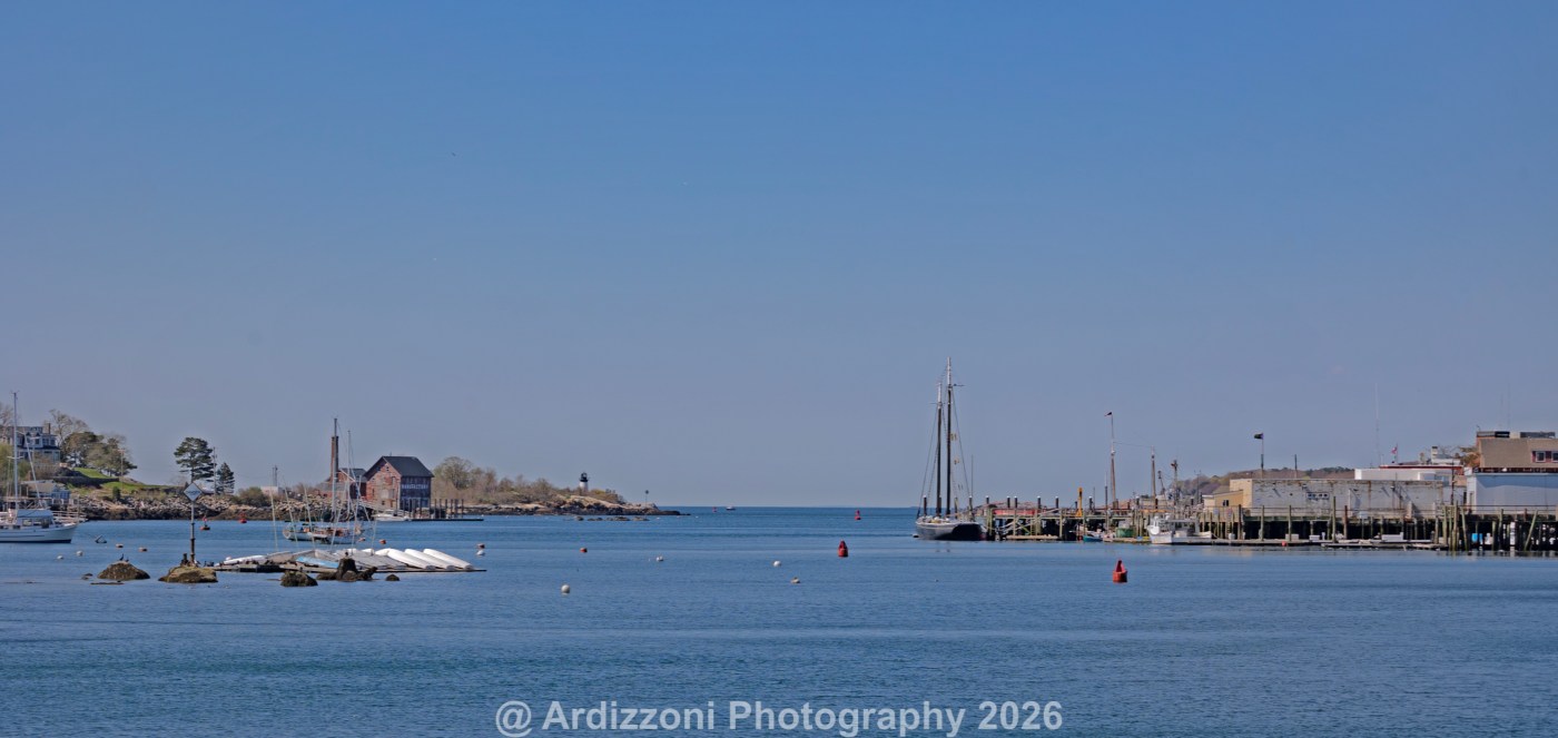 Leaving Gloucester Harbor for a Wonderful Whale Watch – Good Morning ...