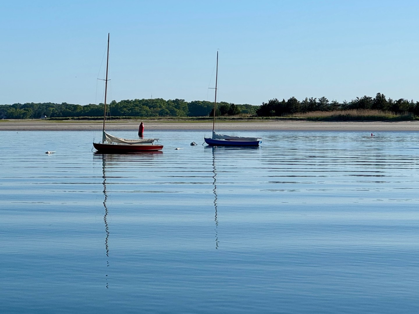On their marks at Wingaersheek beach – Good Morning Gloucester