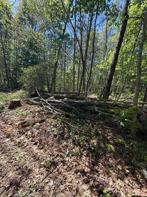 CITY OF GLOUCESTER ADVANCES COMMUNITY WILDFIRE PROTECTION EFFORTS ...