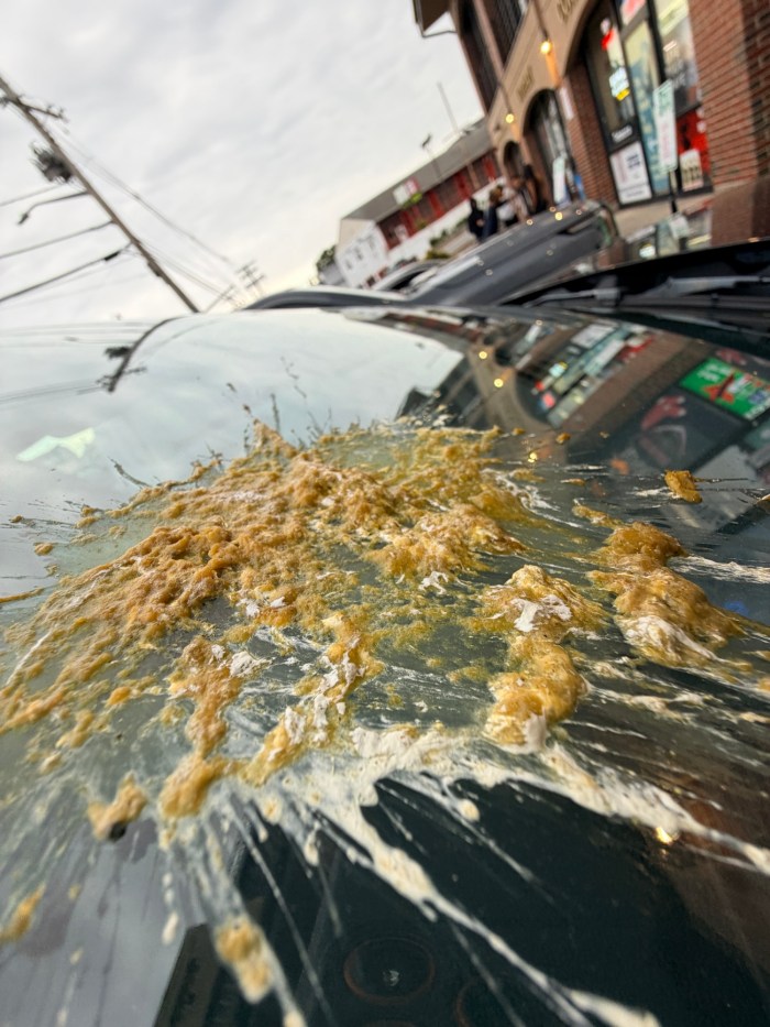 In all my years I’ve never seen such a massive seagull poop (and I’ve ...