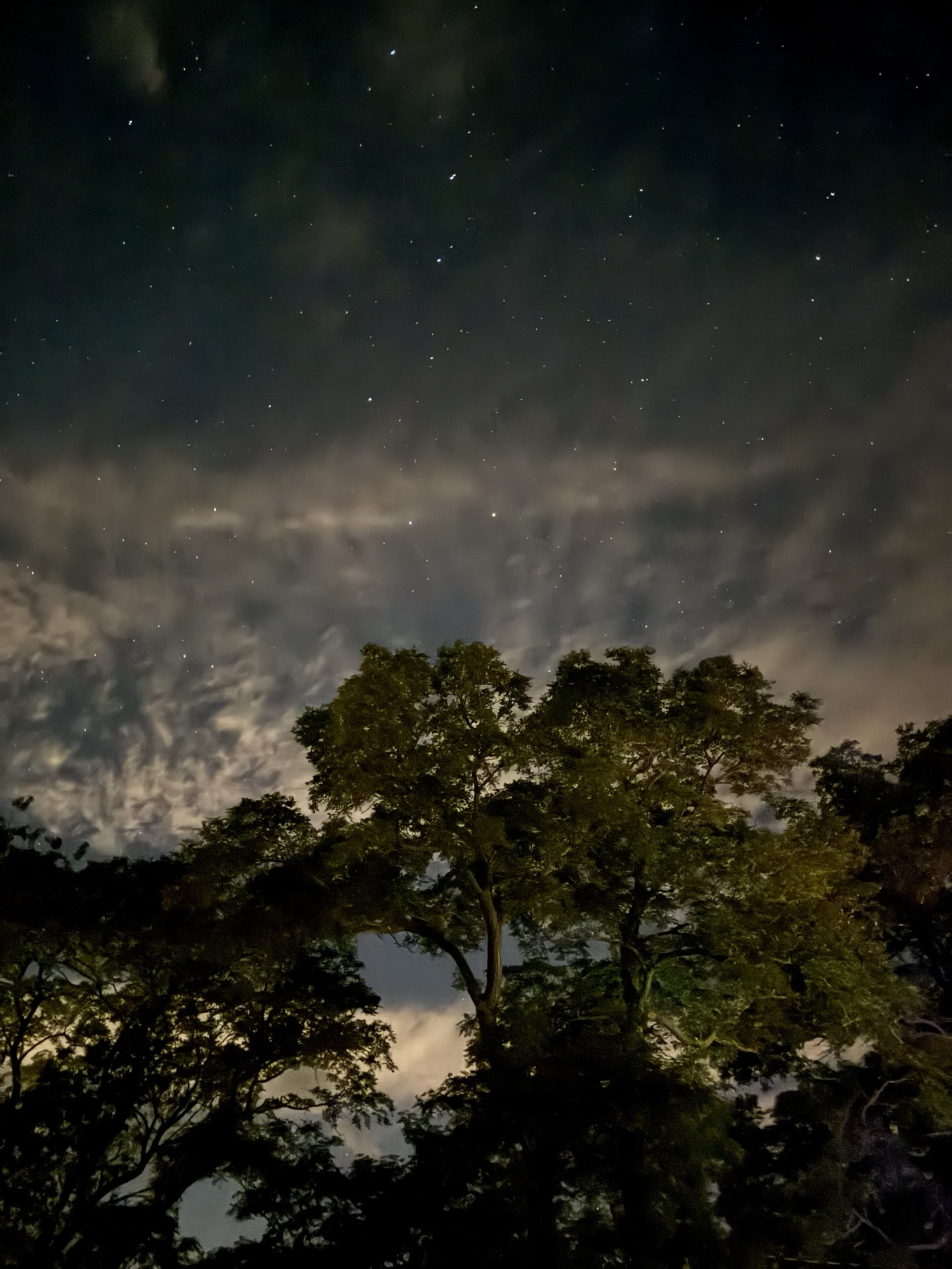 Summery Night Sky over Annisquam – Good Morning Gloucester