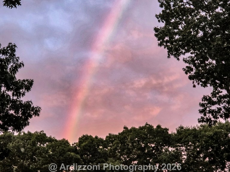Rainbow – Good Morning Gloucester